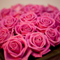 Macaroon - OGQ Backgrounds HD